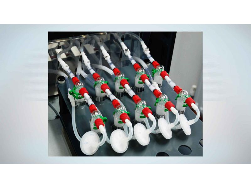 Smoking Accessories | Cerulean